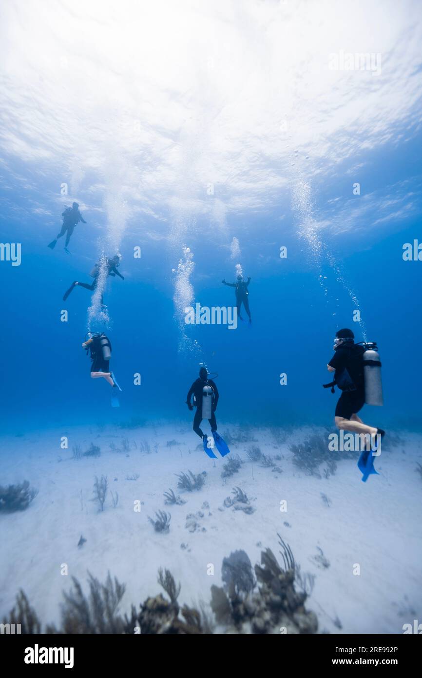 Blue swim suits hi-res stock photography and images - Alamy