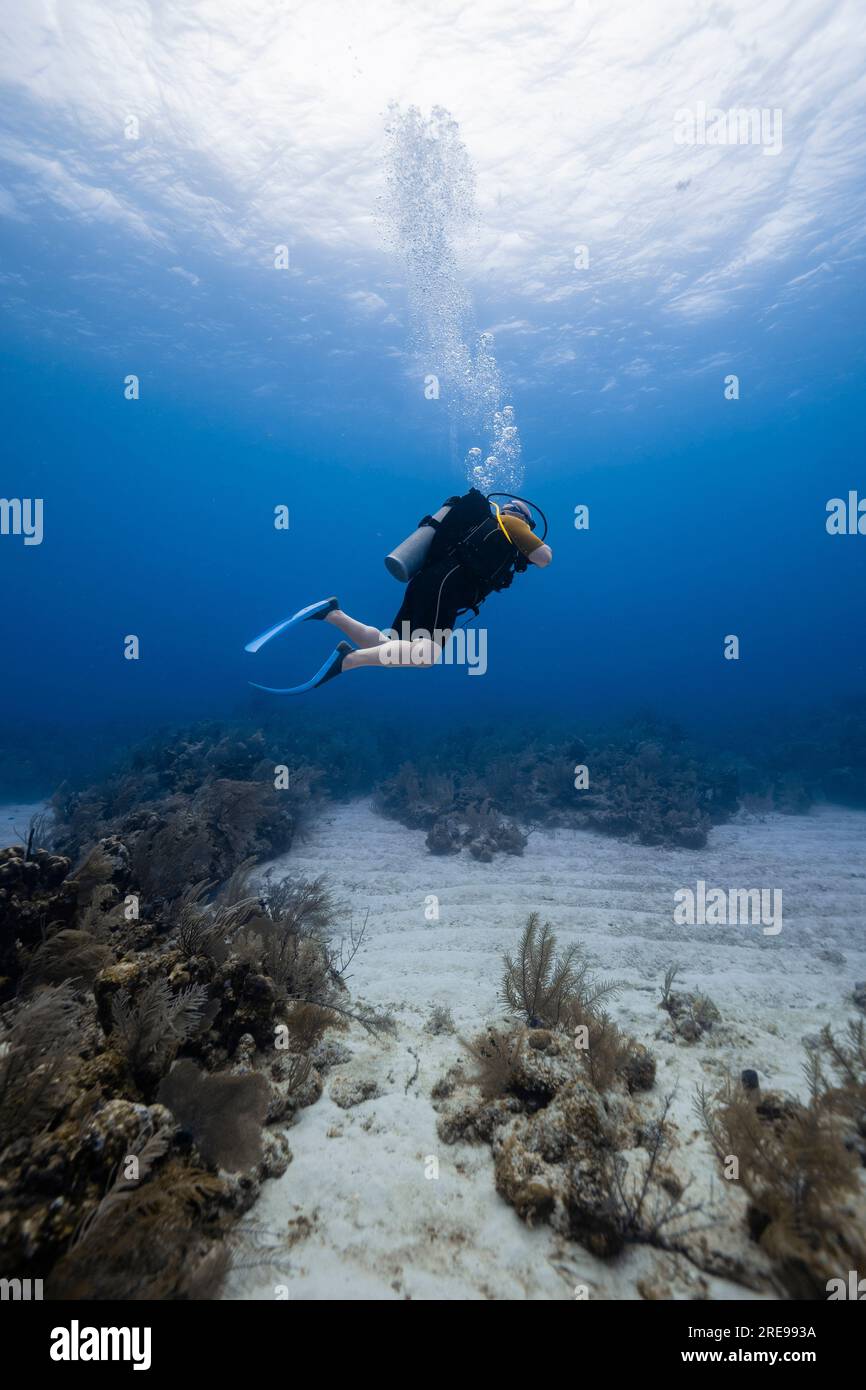 Side view of scuba diver swimming underwater with bubbles while ...