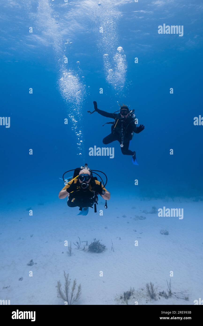 Underwater Looking Up Bubbles