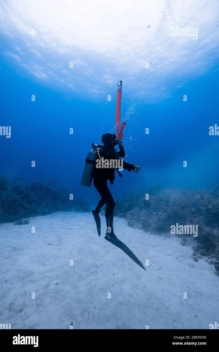Side view of scuba diver underwater with bubbles and looking up while ...