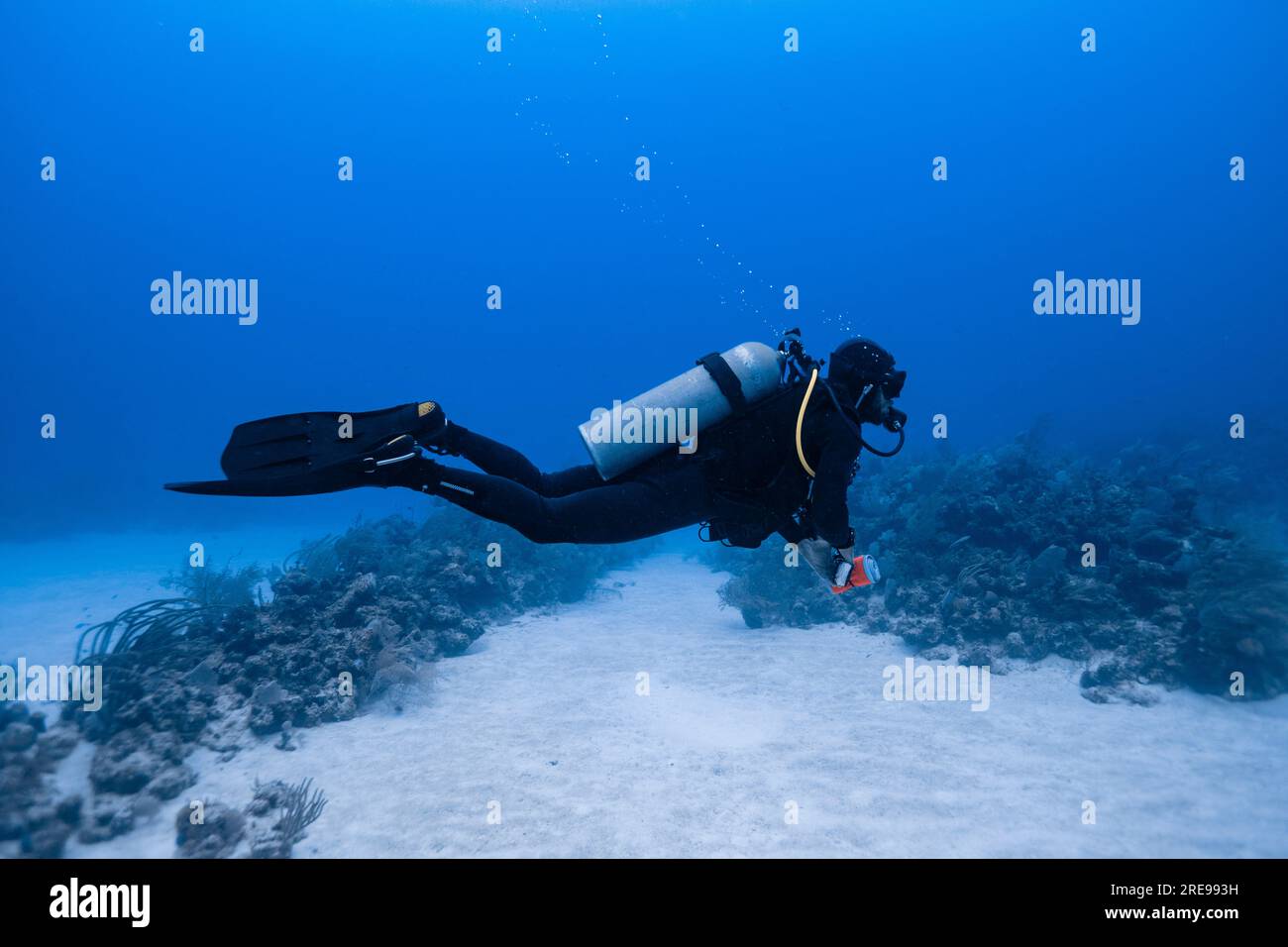 Side view of scuba diver swimming underwater with bubbles while ...