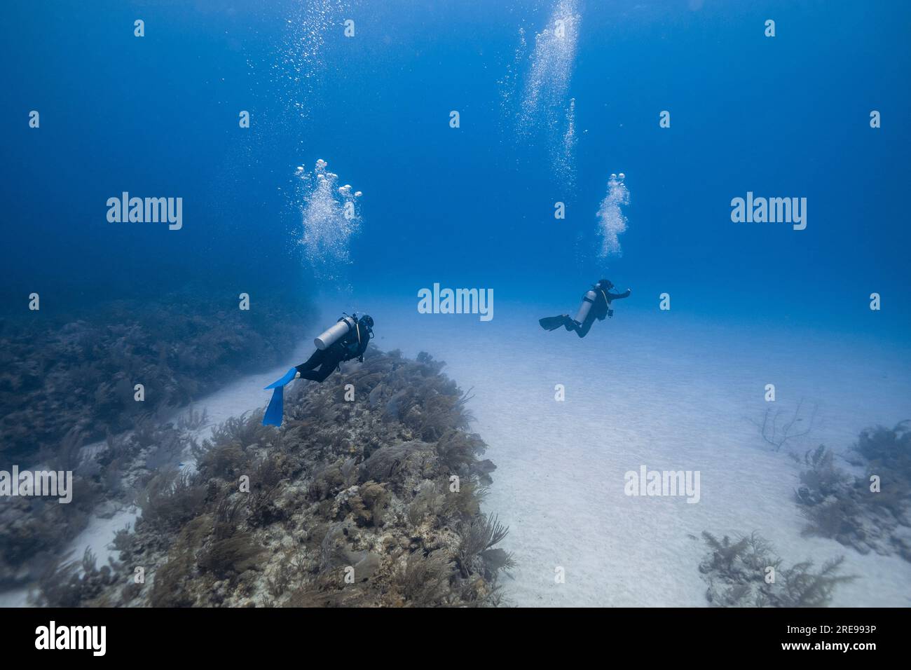 Scuba divers swimming underwater with bubbles while exploring deep ...