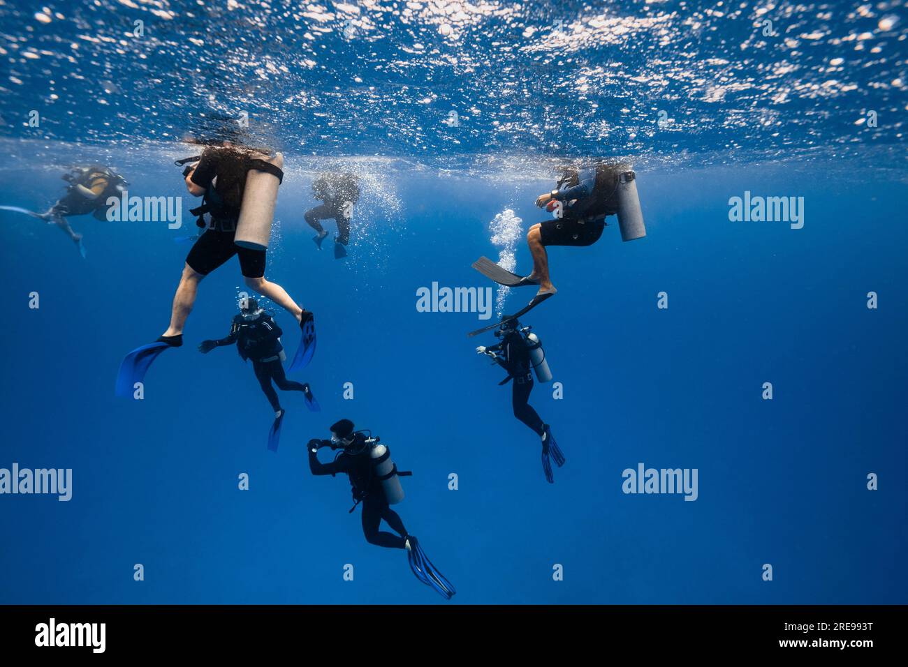 Group of scuba divers in black wetsuit and fins with tank diving into ...