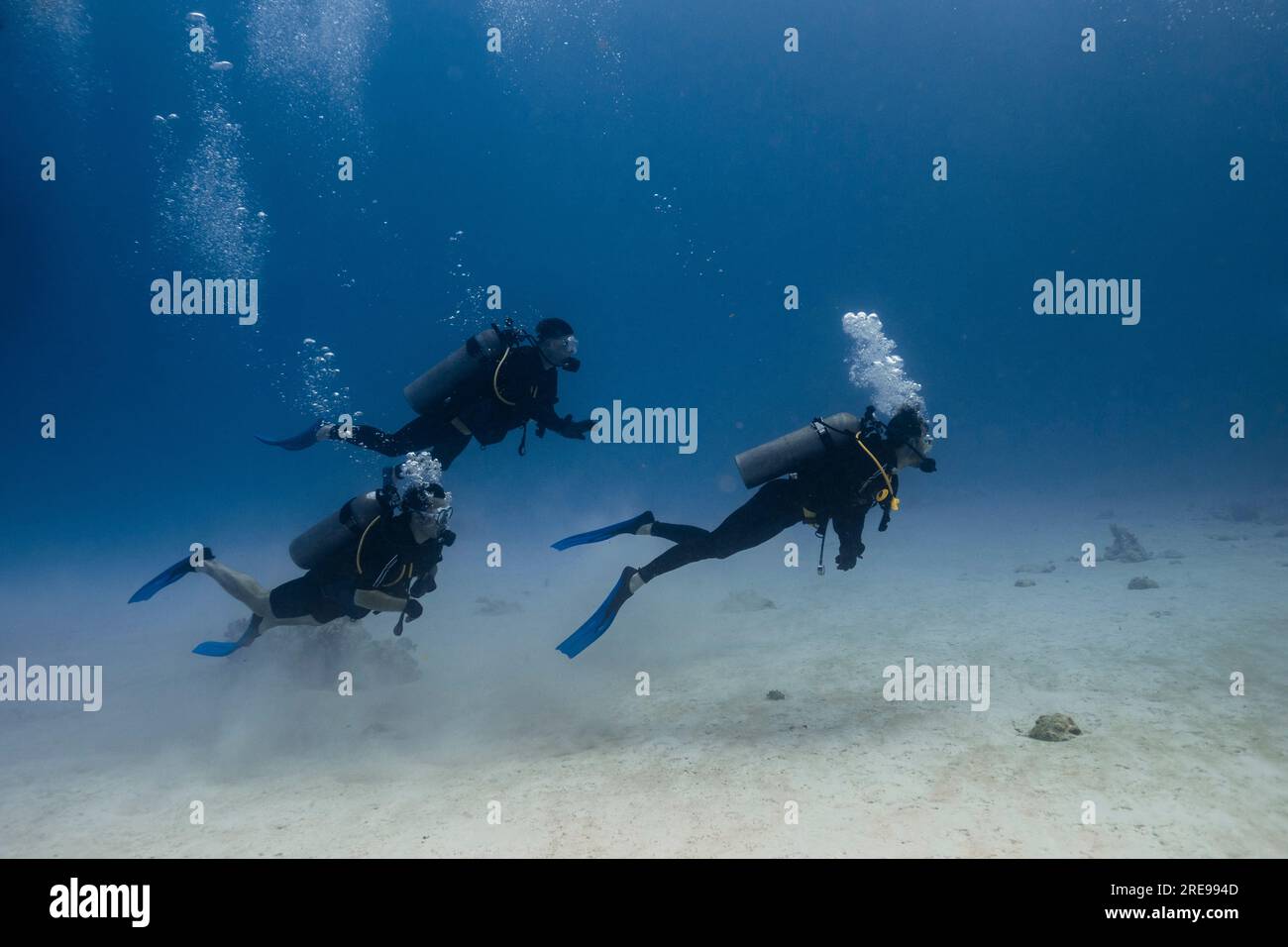 Group of scuba divers swimming underwater with bubbles while exploring ...