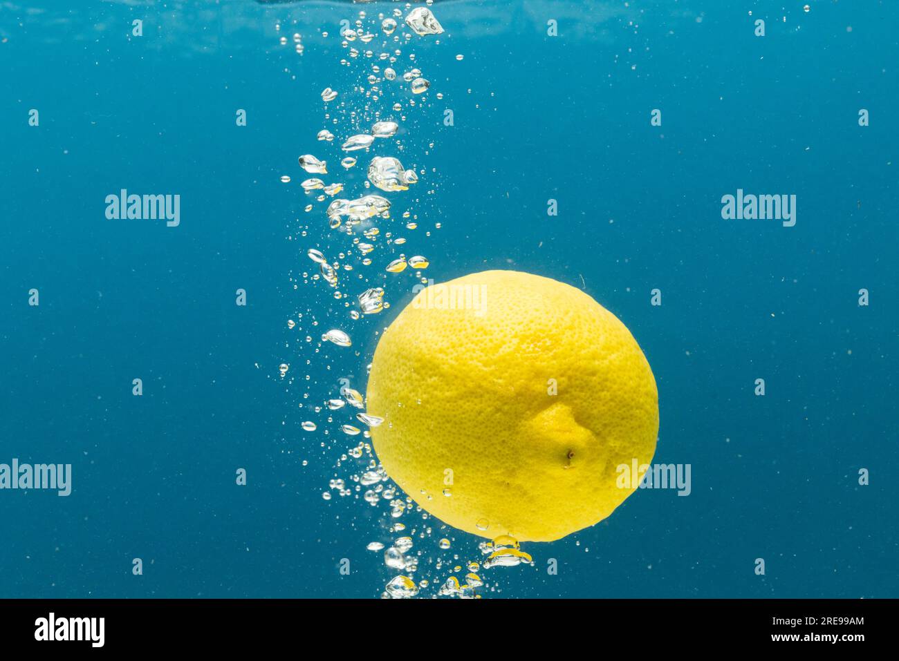 Close up of lemon falling into water with copy space on blue background ...