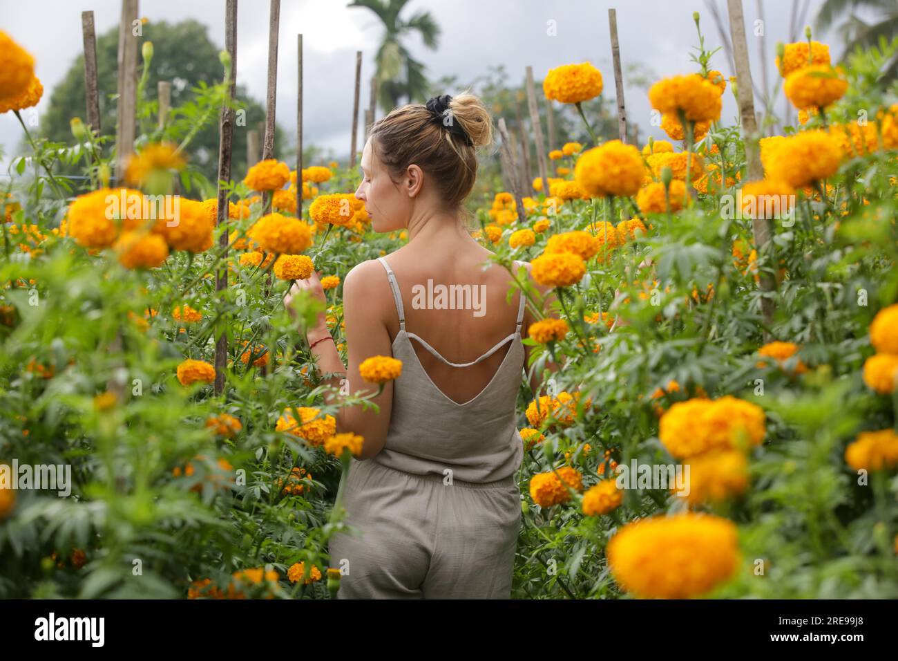 Portrait of Caucasian tourist woman in field of Marigold Tagetes in ...