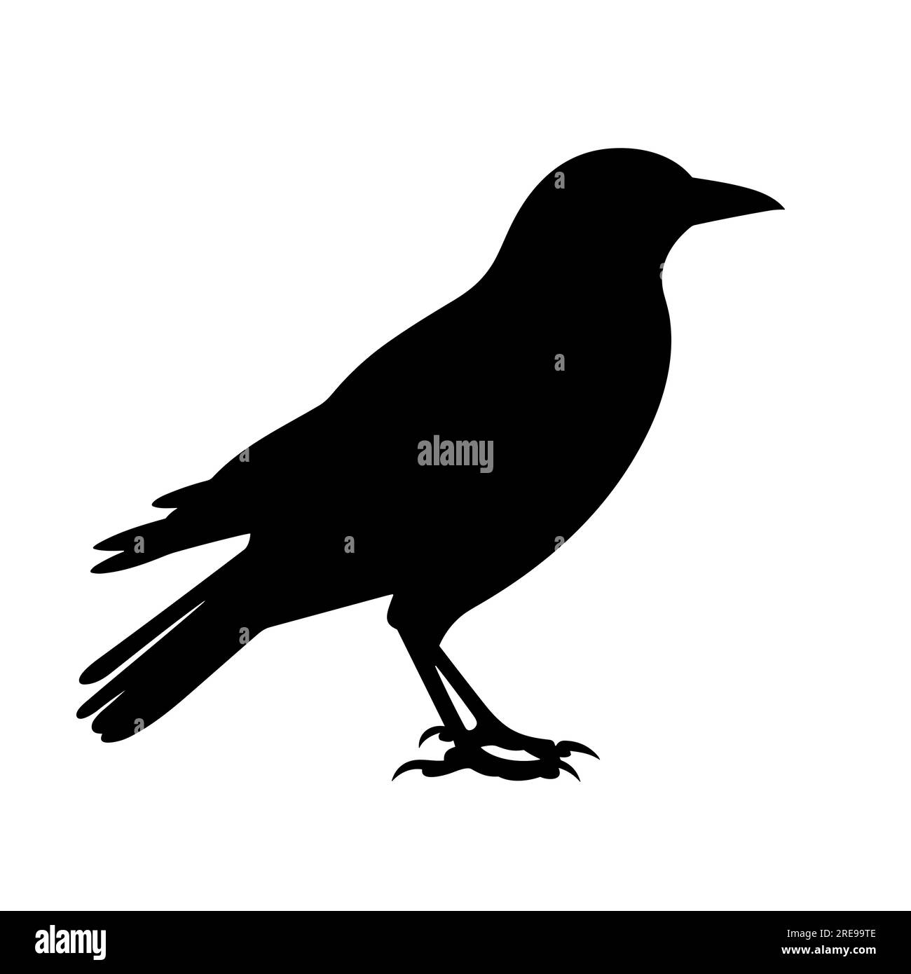 The best crow silhouette images on a white background for any design ...