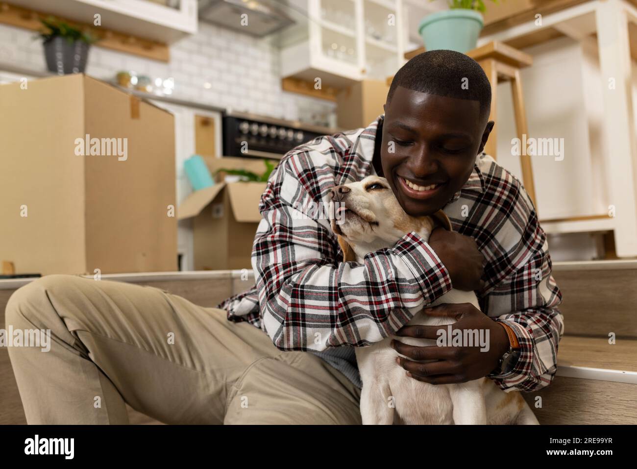 Healthy cute happy pet dog hi-res stock photography and images - Alamy