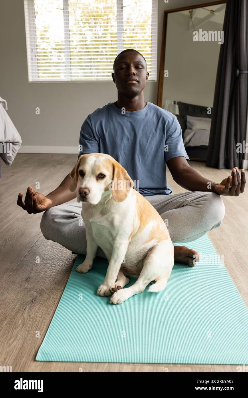African american man pet hi-res stock photography and images - Alamy