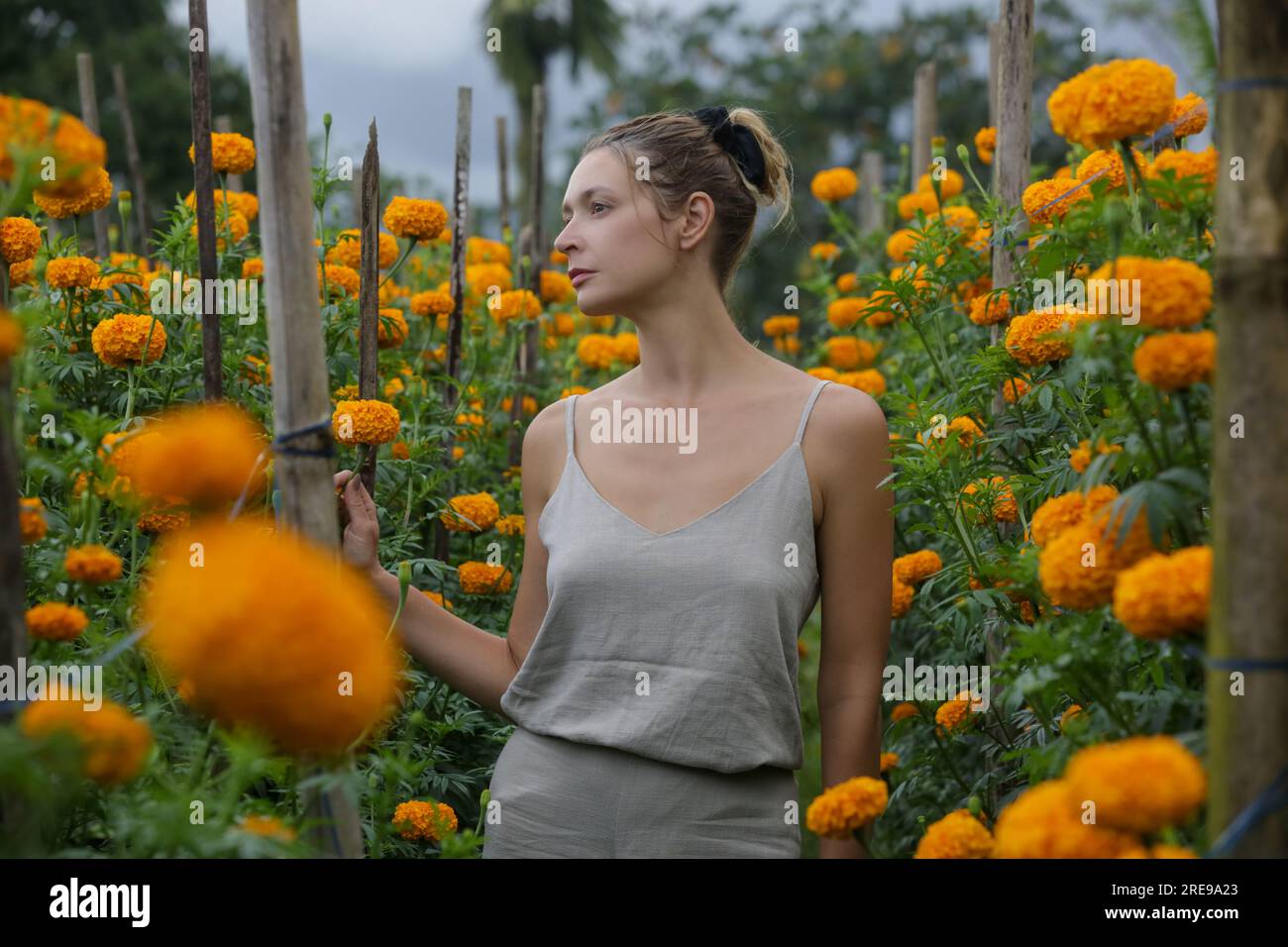 Portrait of Caucasian tourist woman in field of Marigold Tagetes in ...