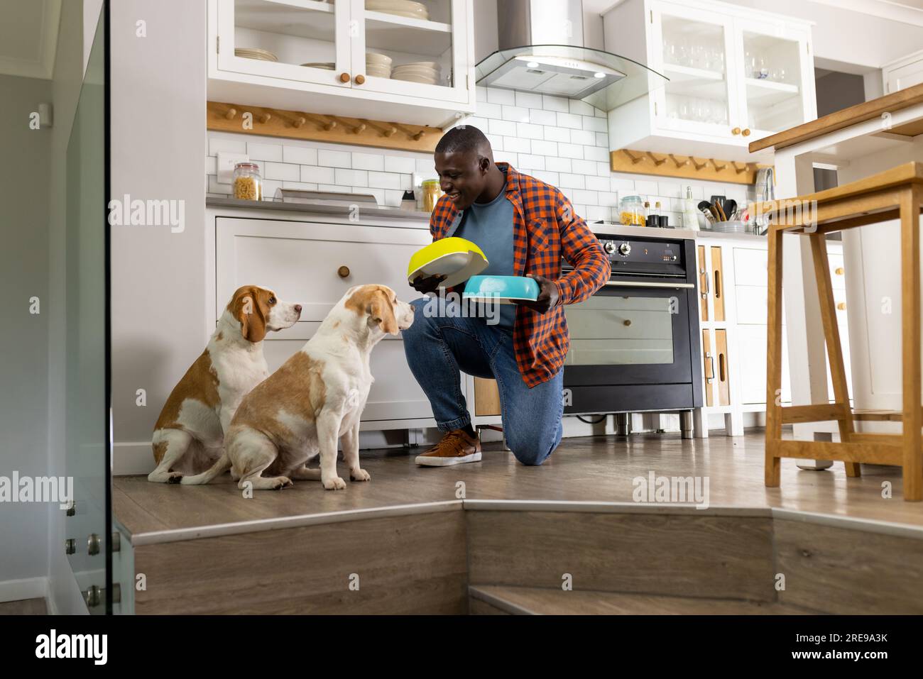 Happy african american man feeding his pet dogs in kitchen at home ...