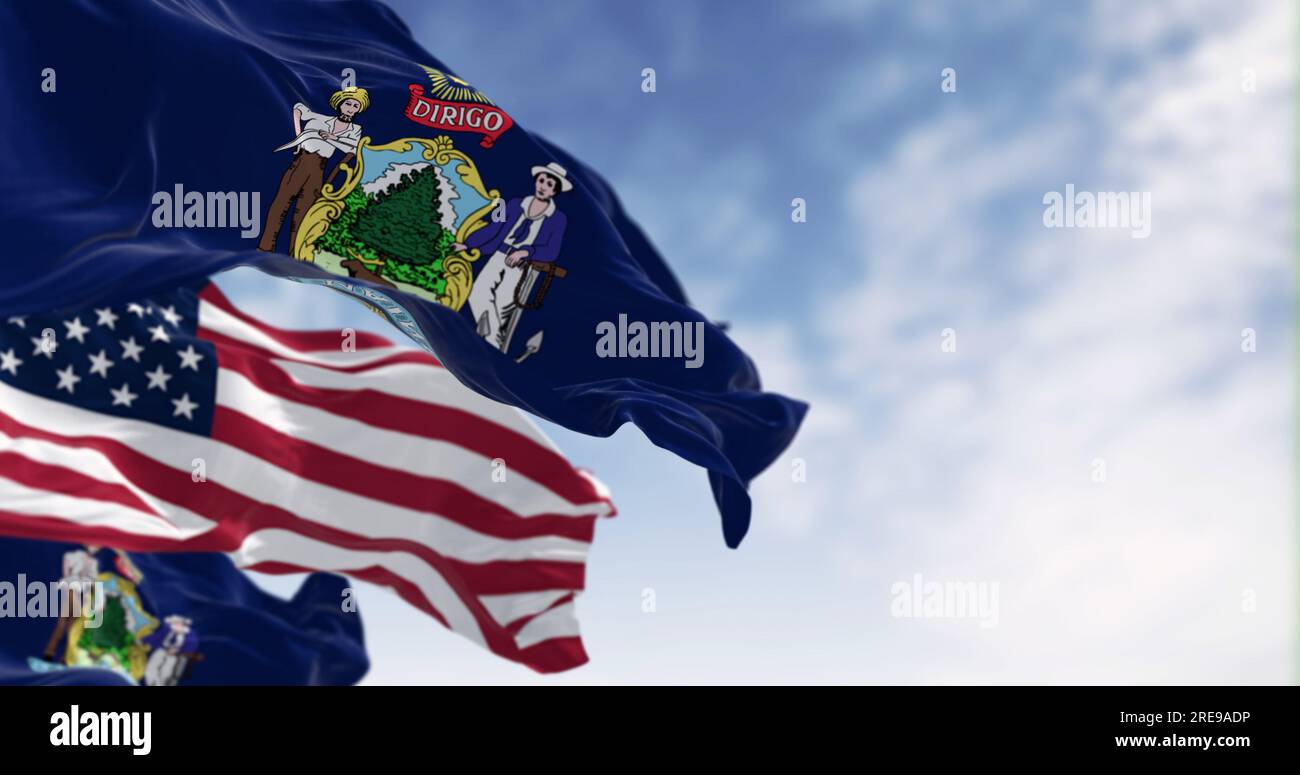 Maine state flags and the United States national flag waving in the ...
