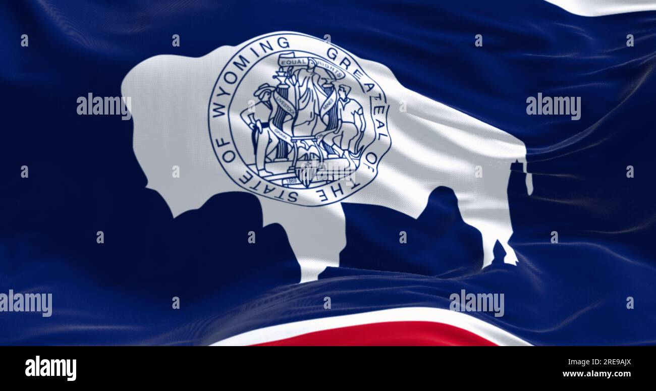 Close-up of Wyoming state flag waving in the wind. White Bison ...