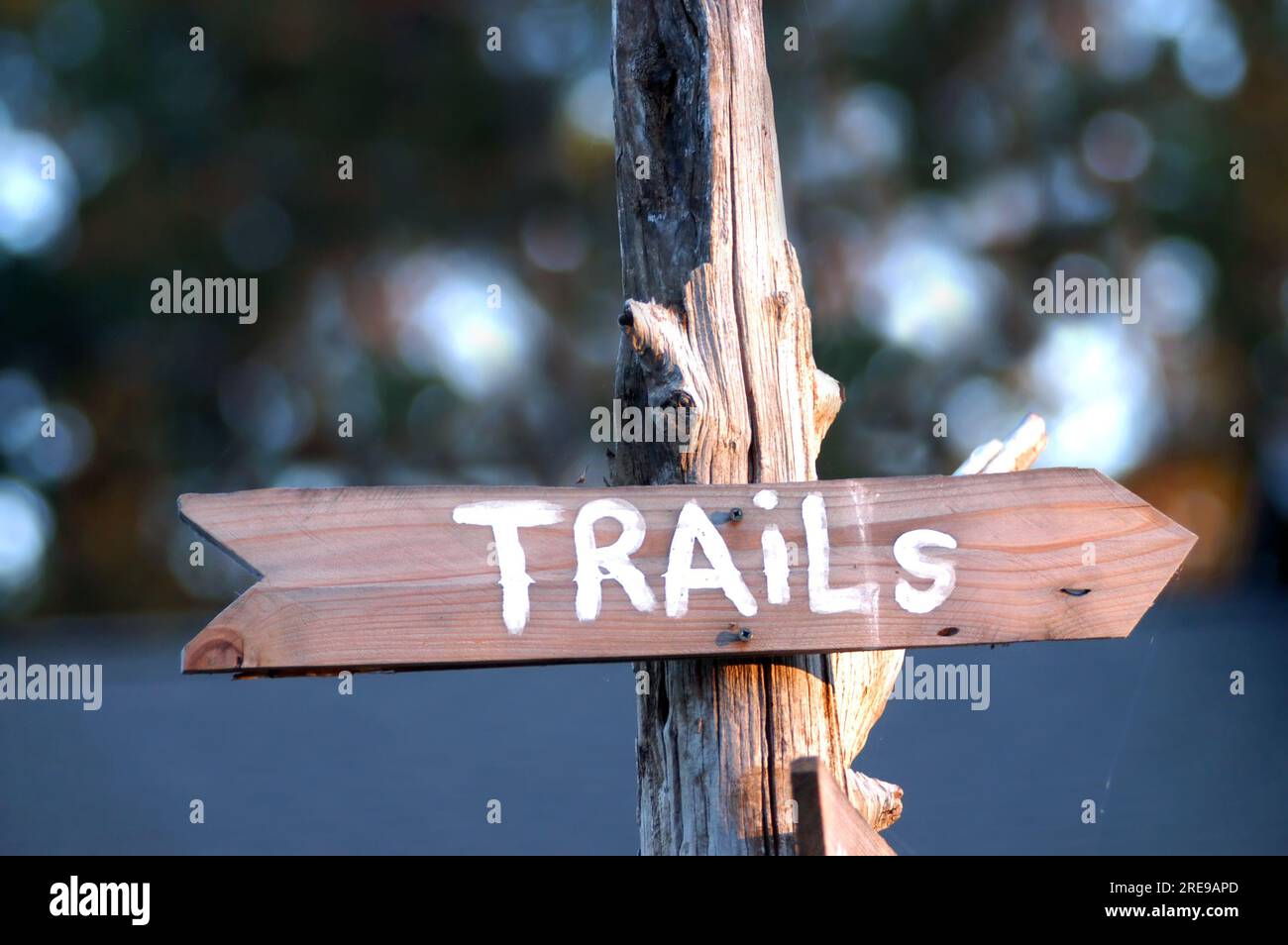 Rustic wooden sign is posted to show the way to the hiking trails at a ...