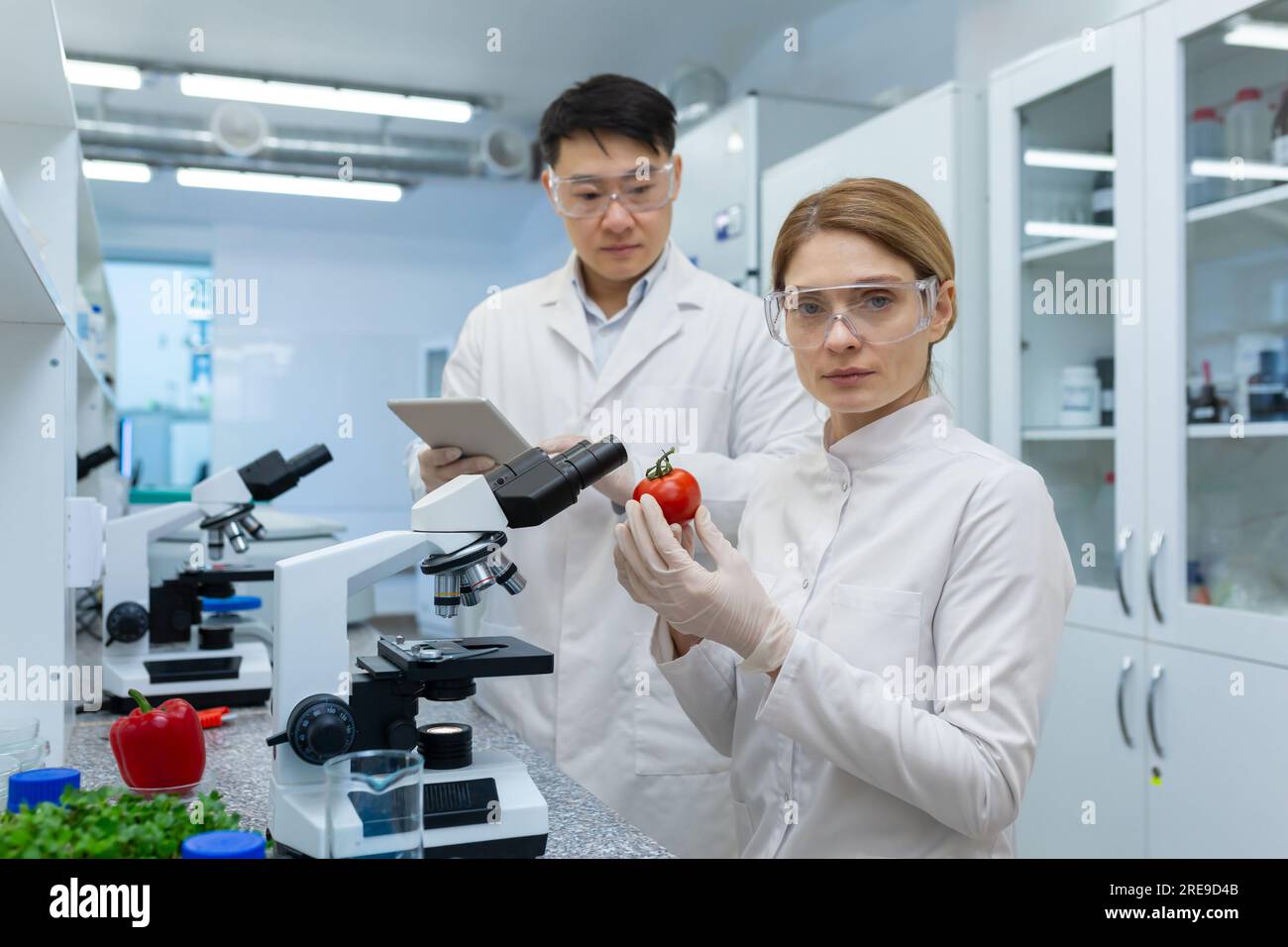 Portrait of an Asian man and a female nurse working together in a ...