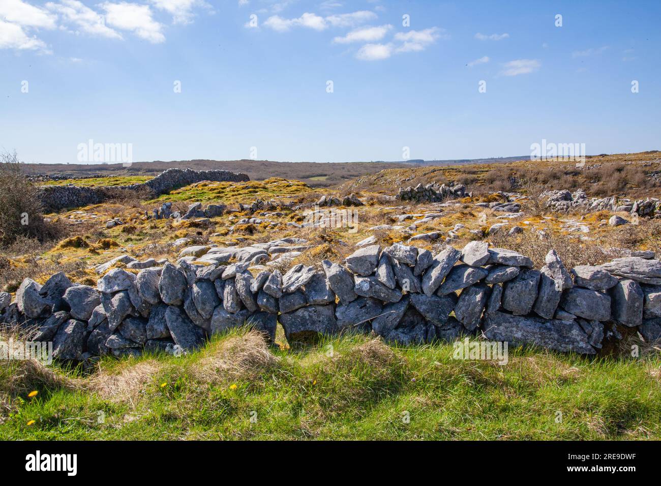 The Burren, Co Clare, Ireland Stock Photo - Alamy