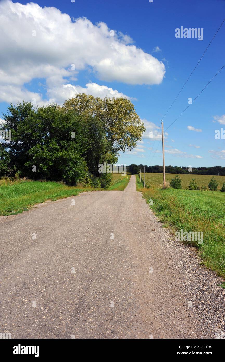 Gravel, country road disappears into the distance. Wisconsin corn crops ...