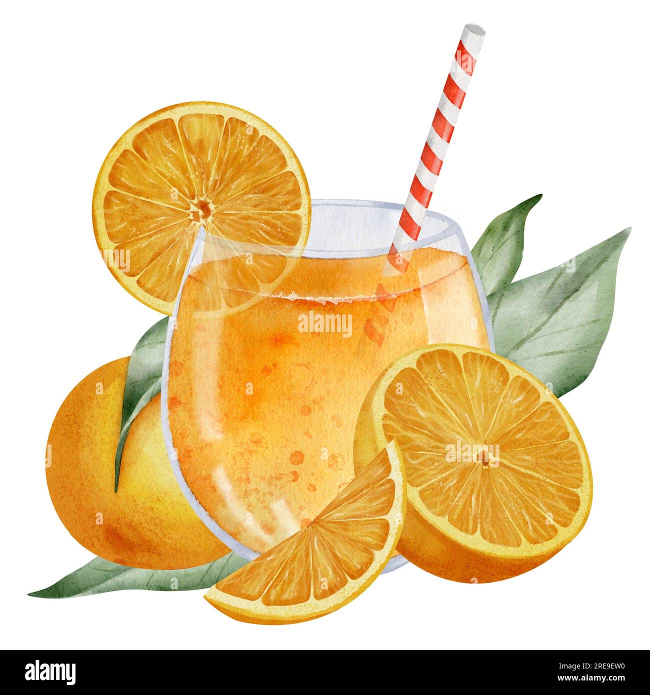 Orange Juice with tropical Fruits and leaves. Hand drawn watercolor ...