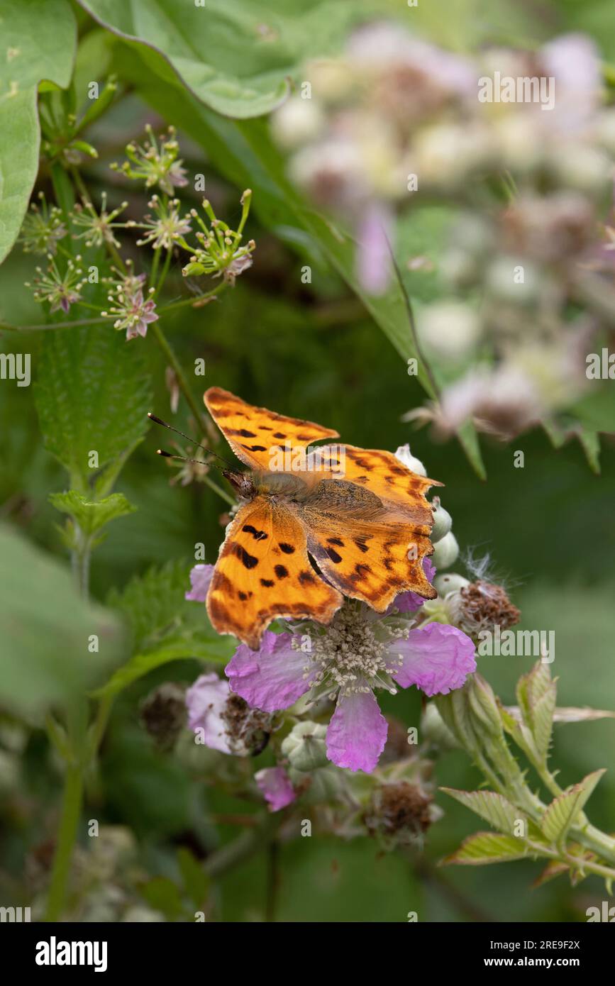 Stcaked hi-res stock photography and images - Alamy