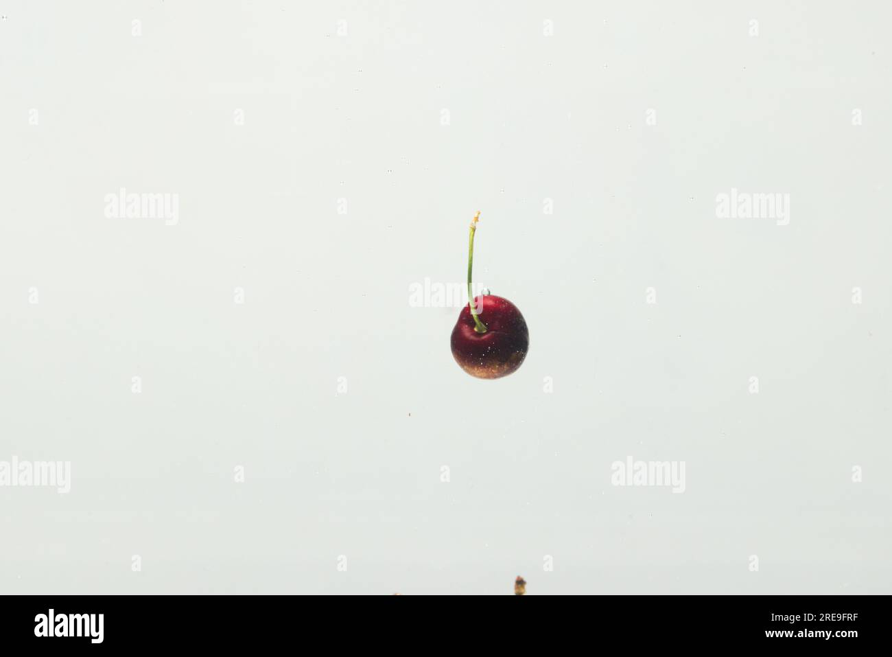 Close up of cherry falling into water with copy space on white ...