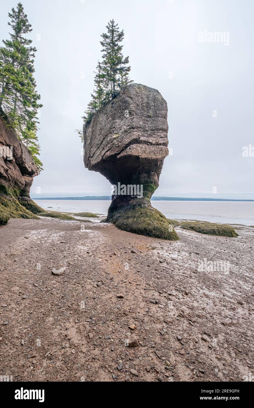 Hopewell Rocks Provincial Park on the Bay of Fundy is home to an ...