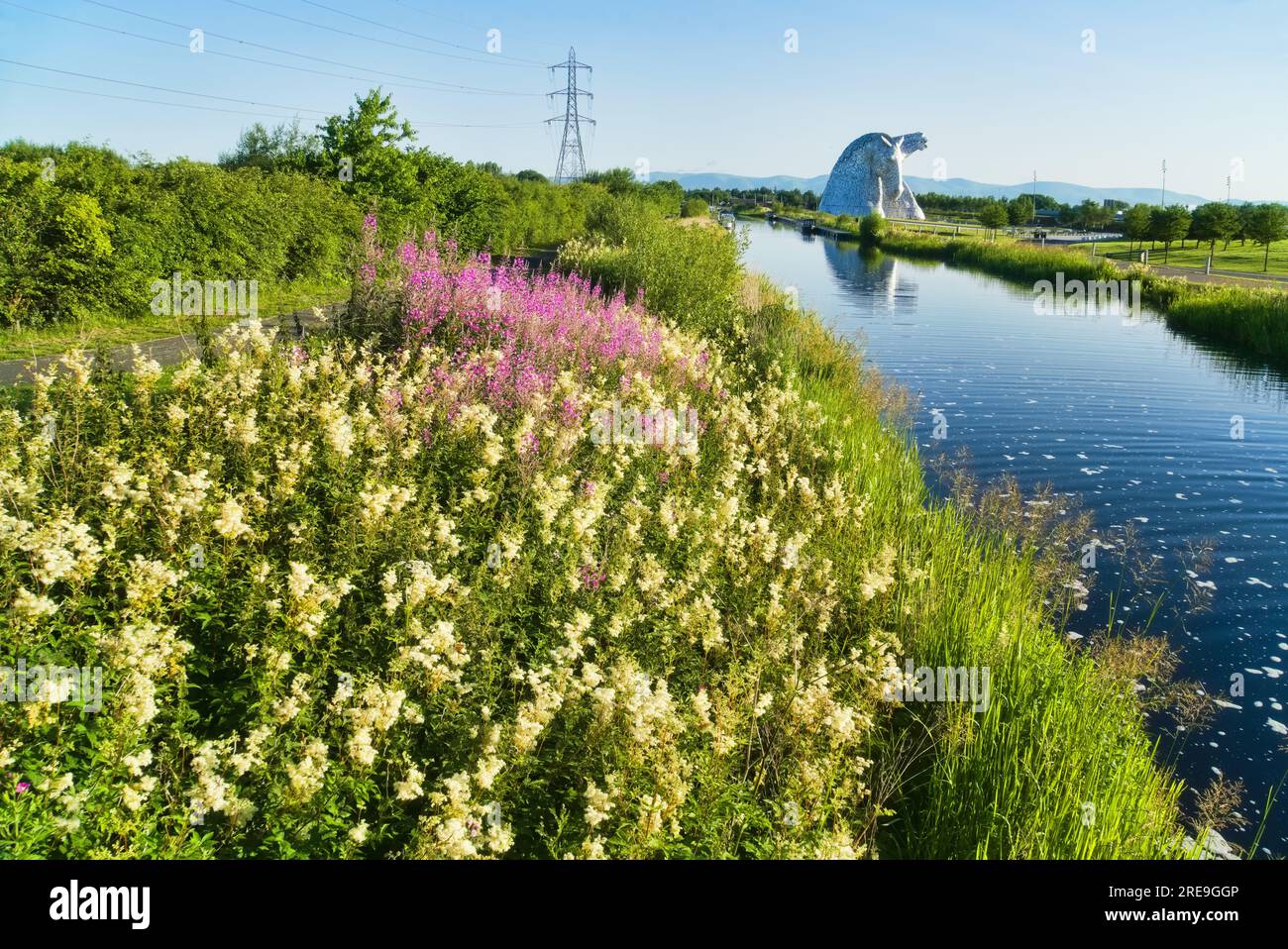 The Kelpies with bright and colourful wild flowers on Forth and Clyde ...