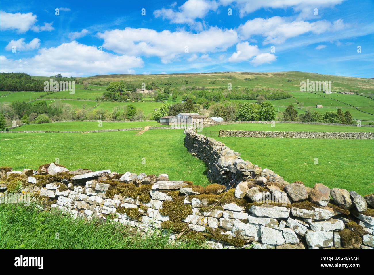Looking north over farmland beside river swale, Swaledale, between ...