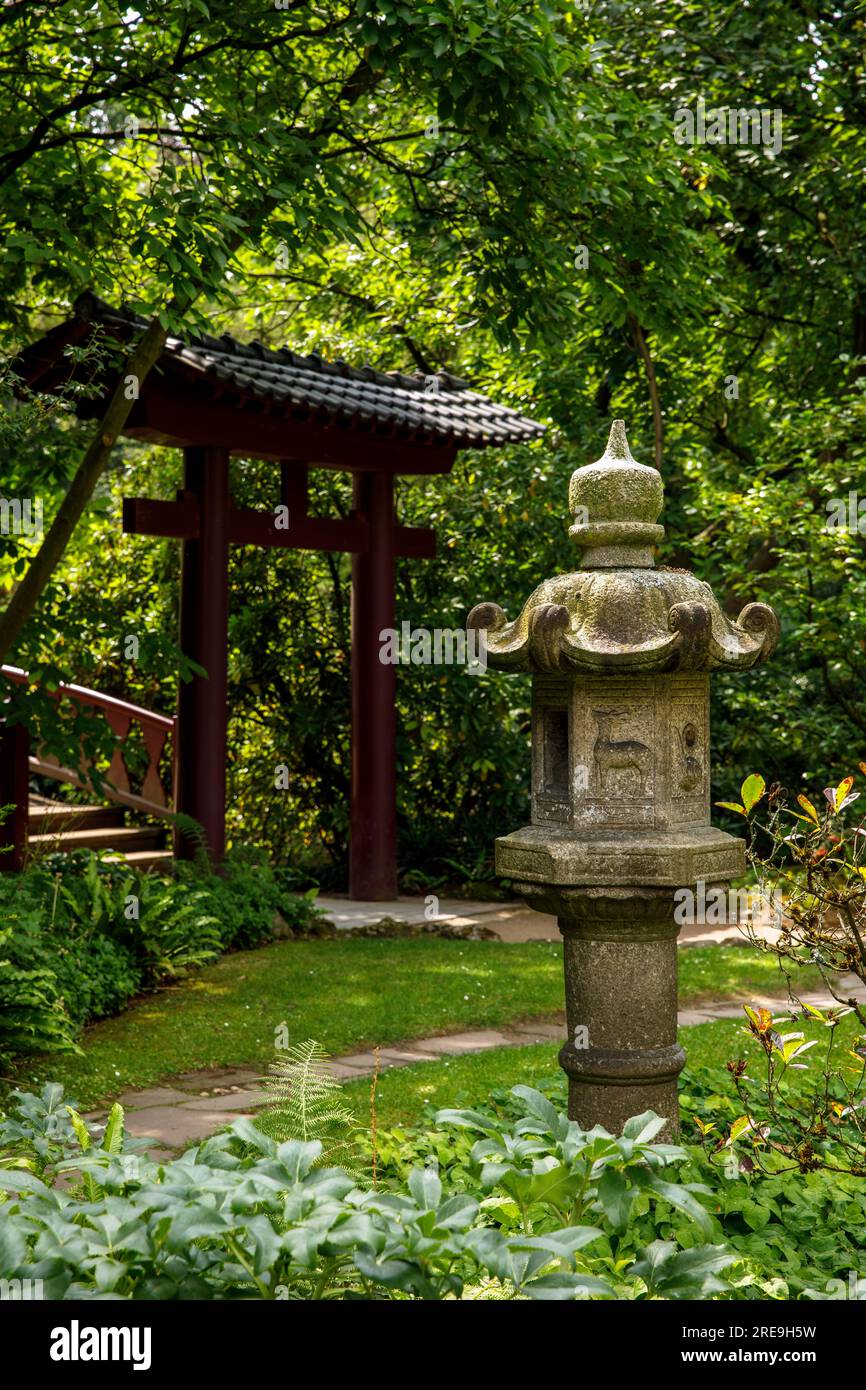 torii gate and stone lantern at the Japanese garden in Leverkusen ...