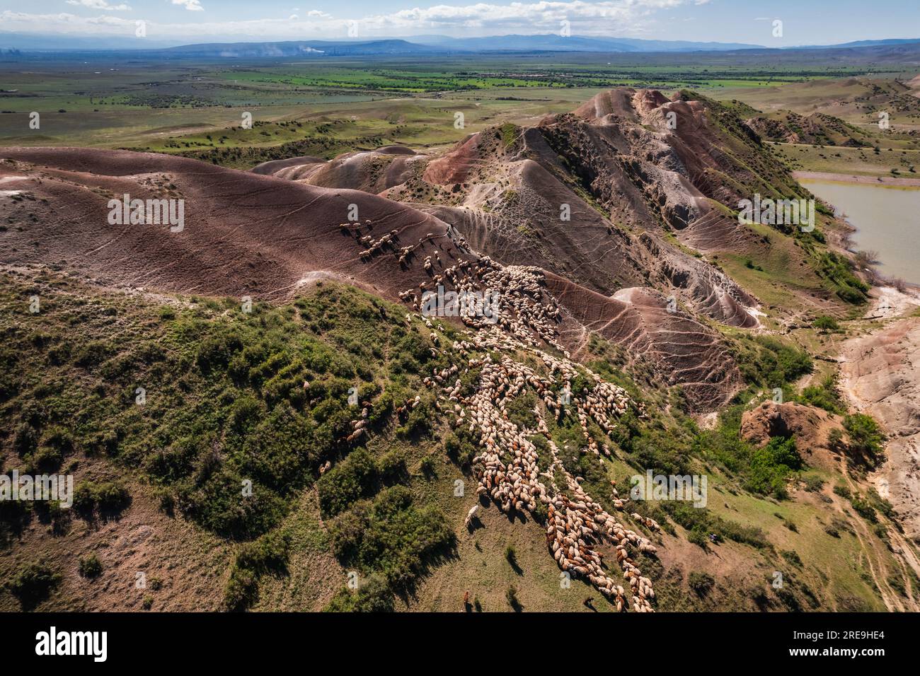 Aerial view of the Georgia landmarks Stock Photo - Alamy