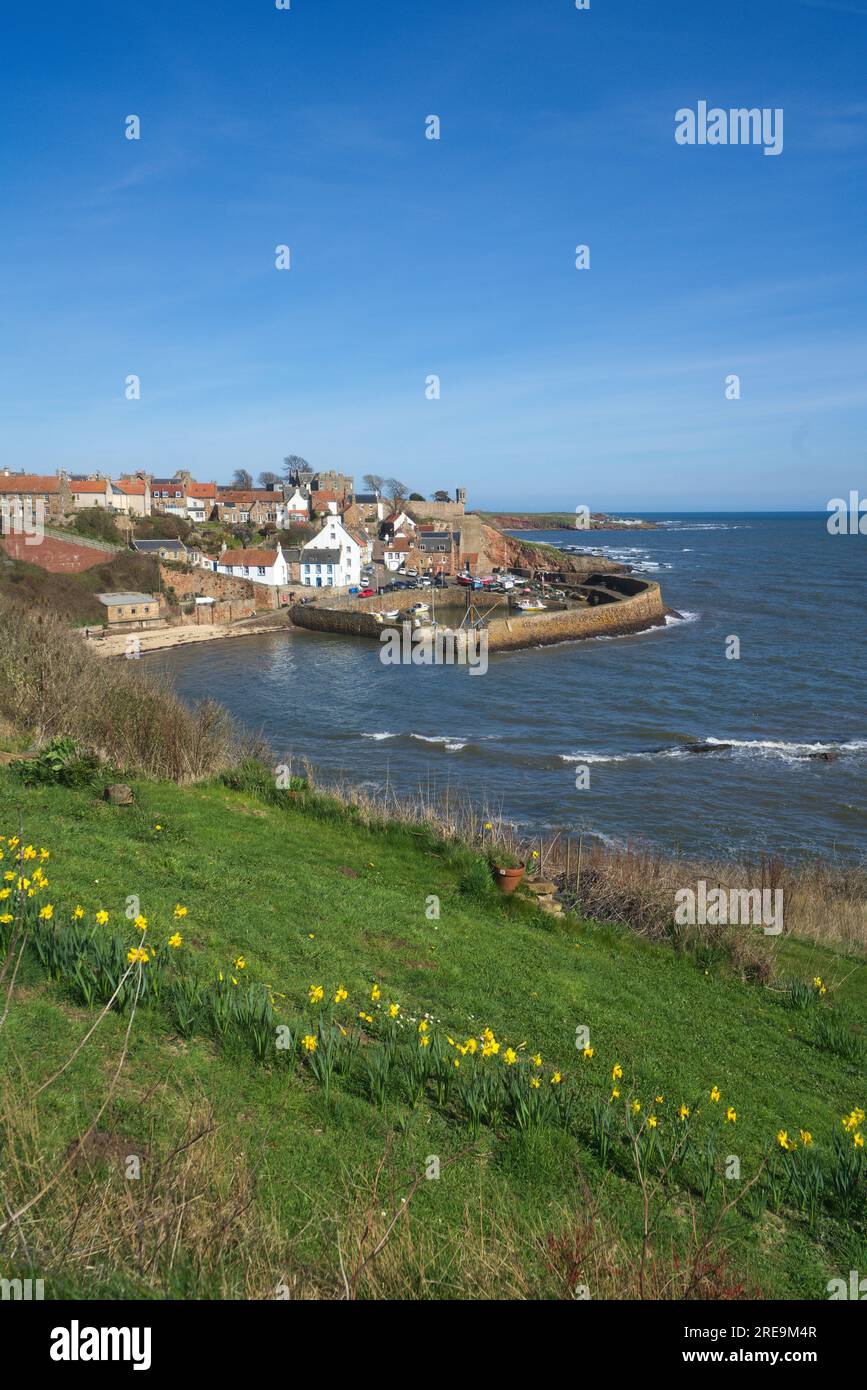 Crail harbour. Crail is one of the East Neuk of Fife's ancient pantiled ...