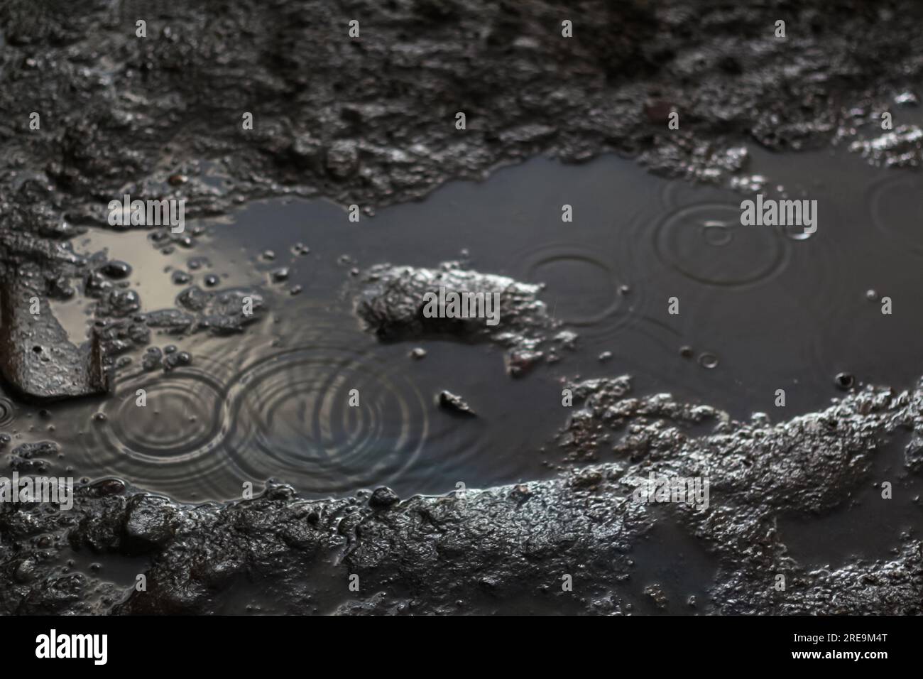A moody and dramatic background of rainy soil ground. The defocused ...