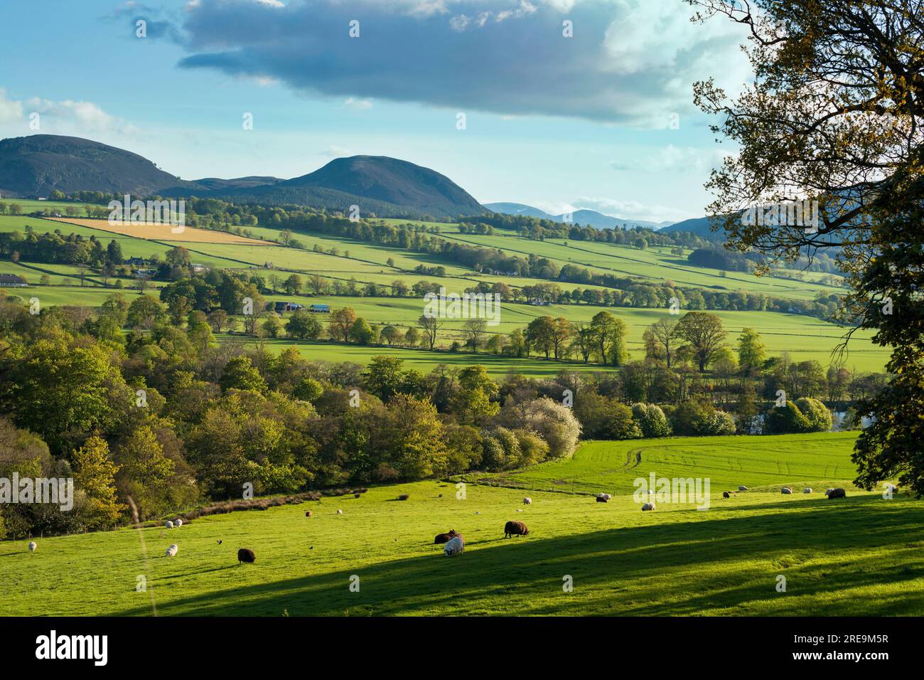 Muir of ord hi-res stock photography and images - Alamy