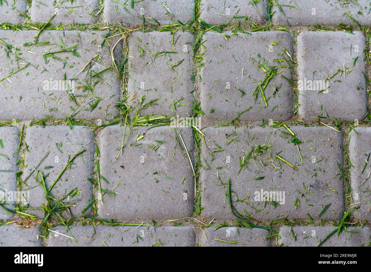 New mown grass hi-res stock photography and images - Alamy