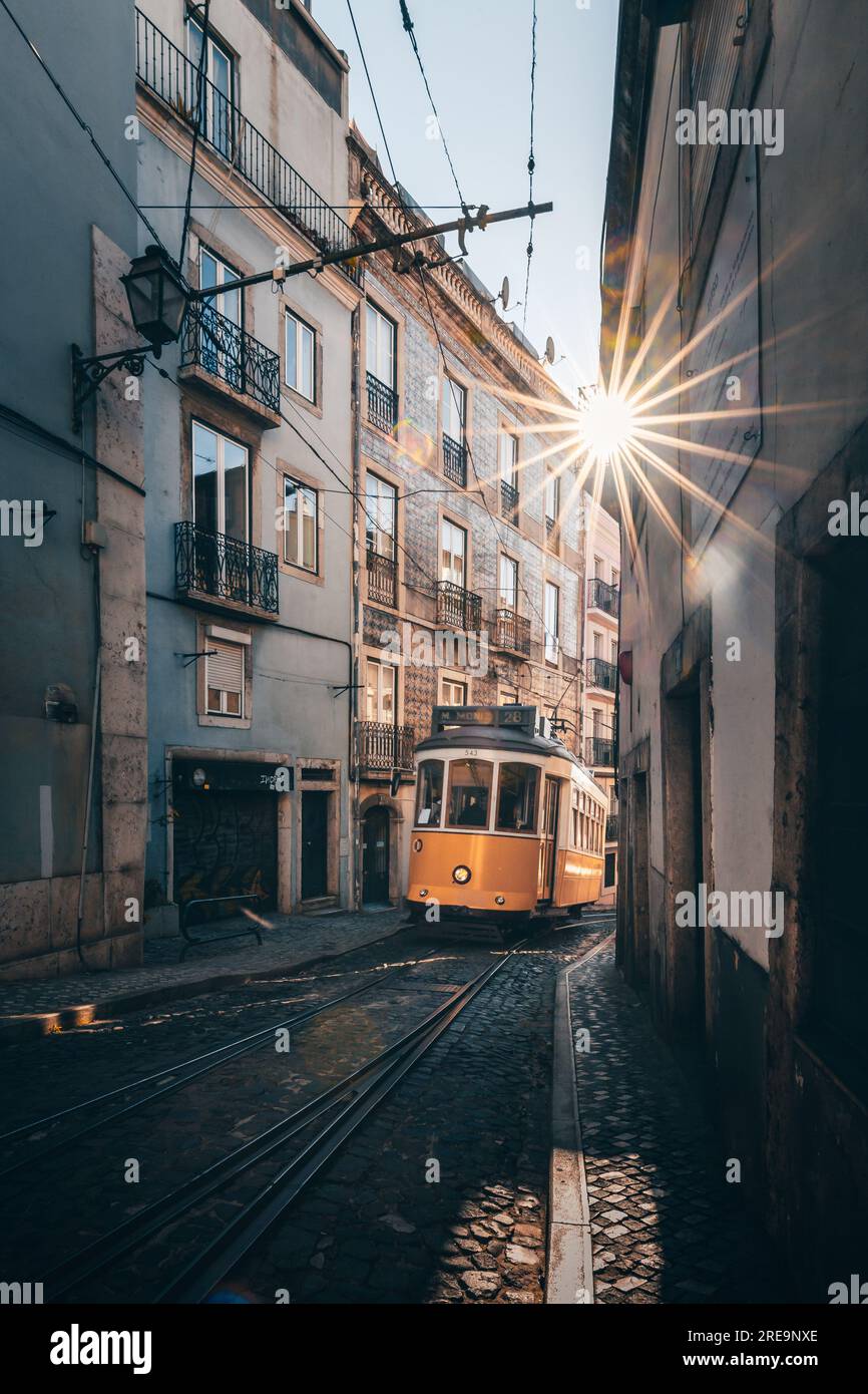 Exploring Historic Altstadt with Iconic Buildings, Elevators, and Trams ...