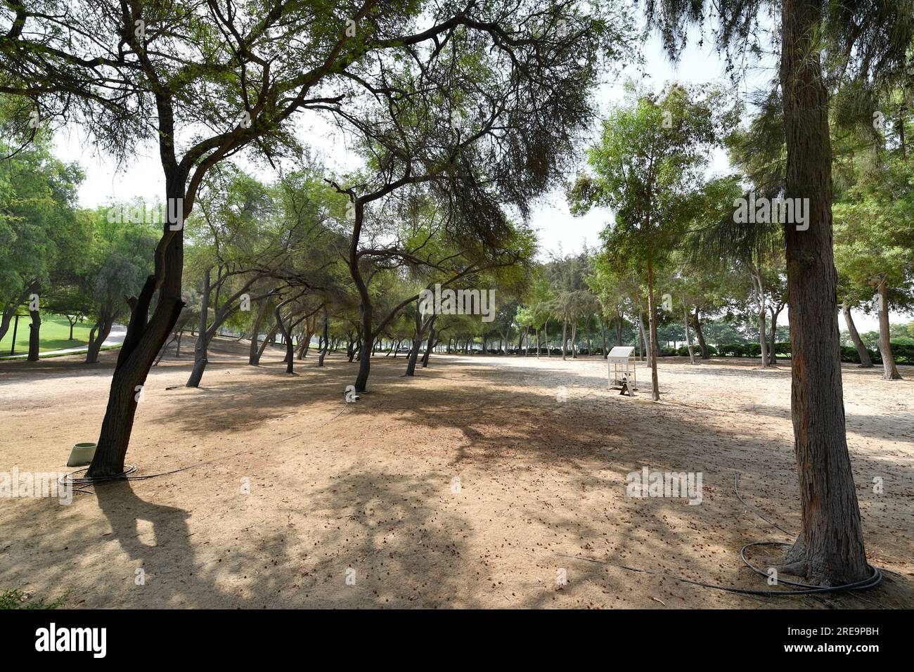 Safa bridge hi-res stock photography and images - Alamy