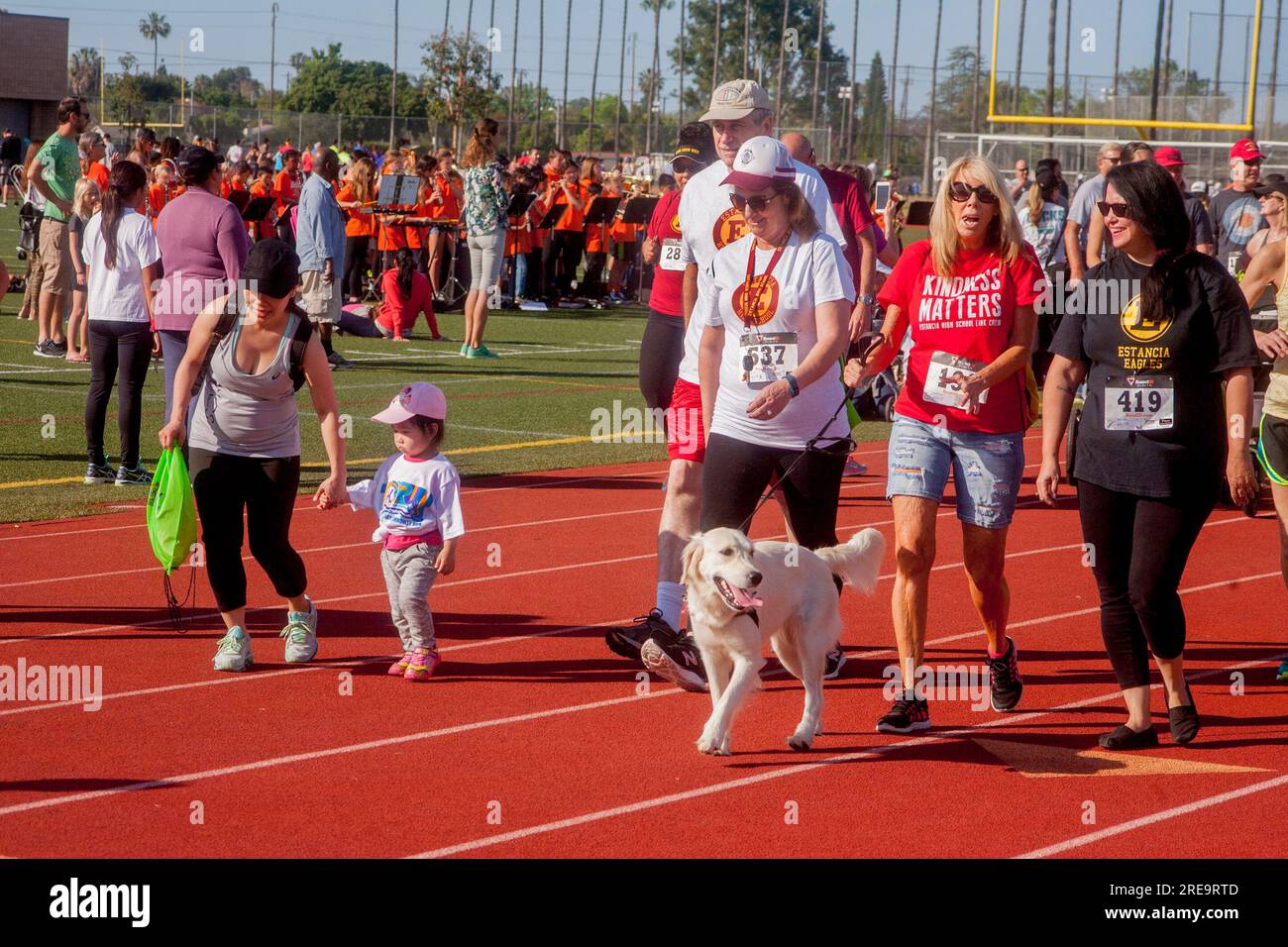 Sports day parents race hi-res stock photography and images - Alamy