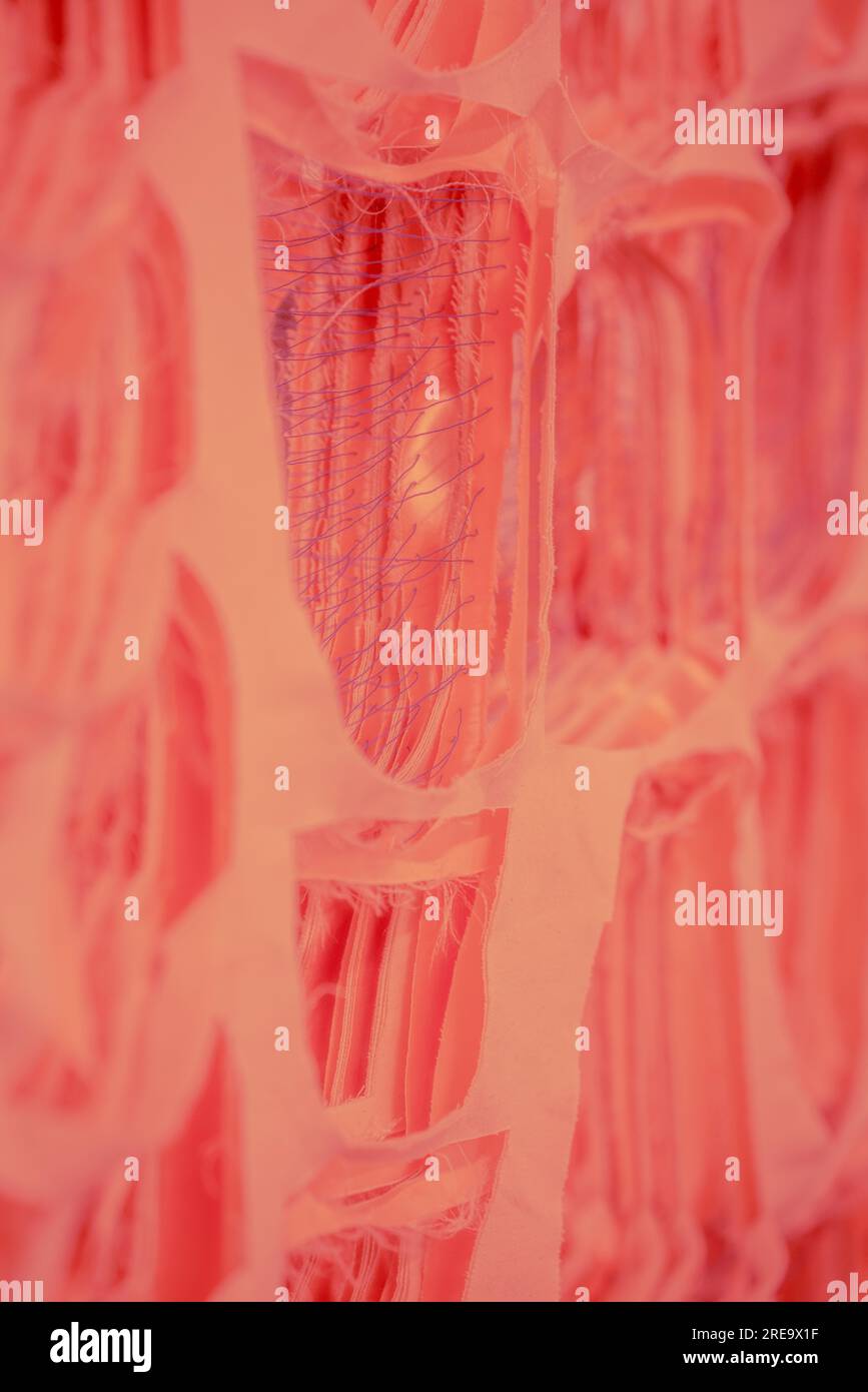 Twisting forms in orange colour Stock Photo - Alamy