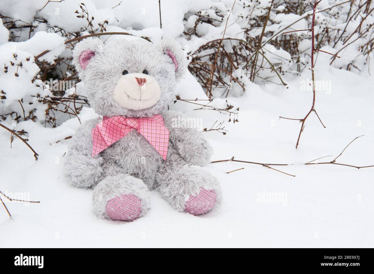 Teddy Bear Snow Wallpaper Backgrounds Dda Teddy Bear In The Snow