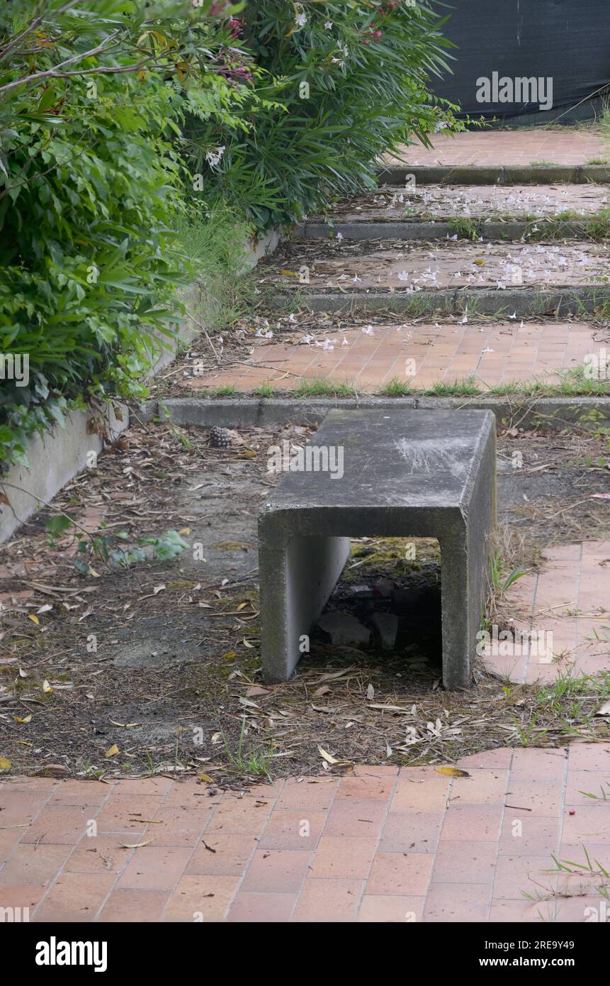 Dreamy longing view of stone bench on neglected unkempt garden path ...