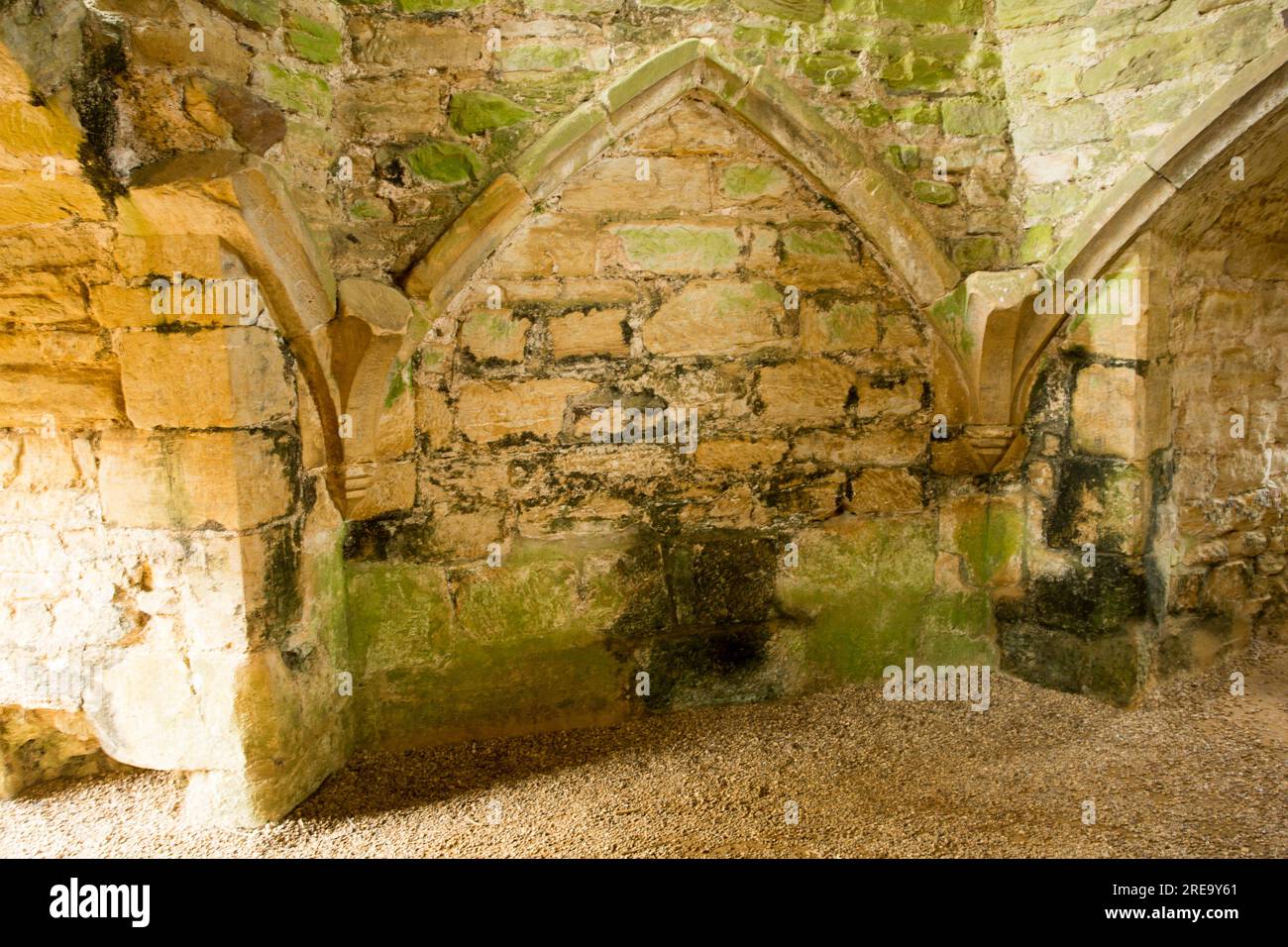 Castle wall with moss hi-res stock photography and images - Alamy