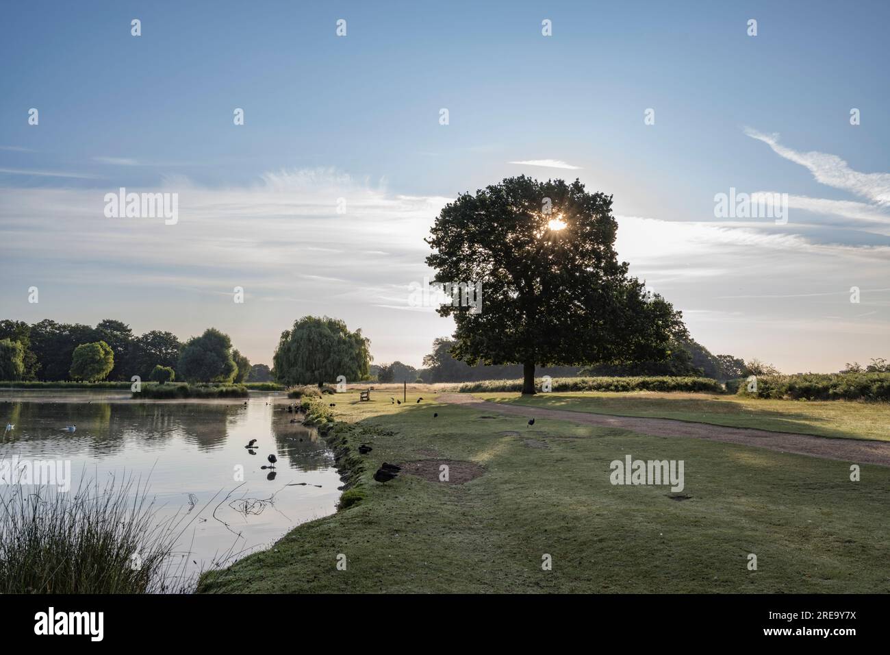 Bright mornings hi-res stock photography and images - Alamy