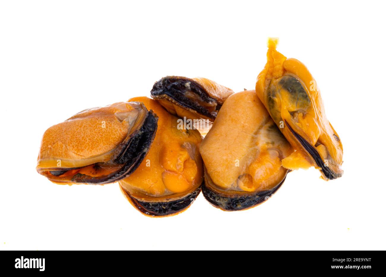 mussels isolated on white background Stock Photo - Alamy