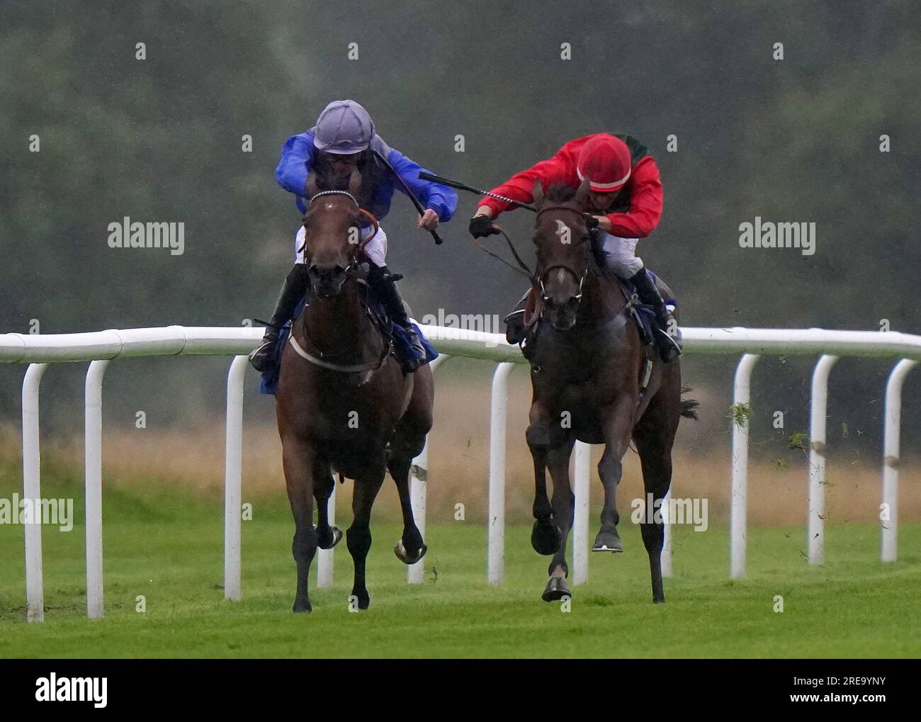 Astronomica and George Wood (right) coming home to win the Daisy ...