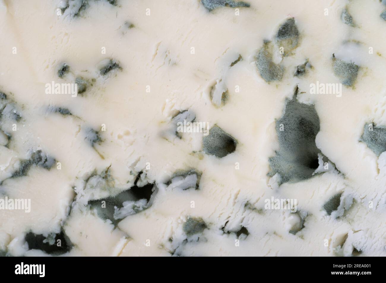 blue cheese isolated on white background Stock Photo - Alamy