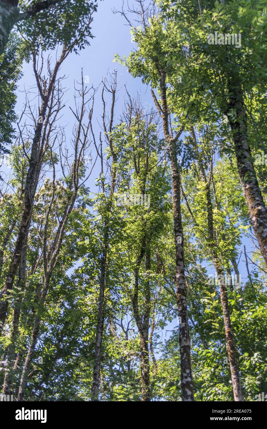 Canopy signs hi-res stock photography and images - Alamy