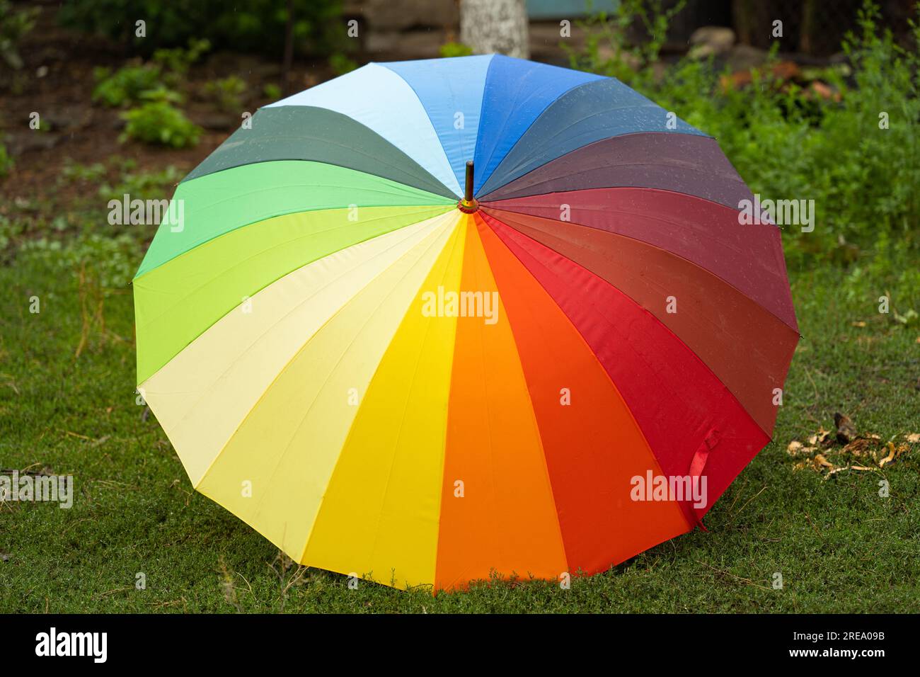 Colorful umbrella in the rain hi-res stock photography and images - Alamy