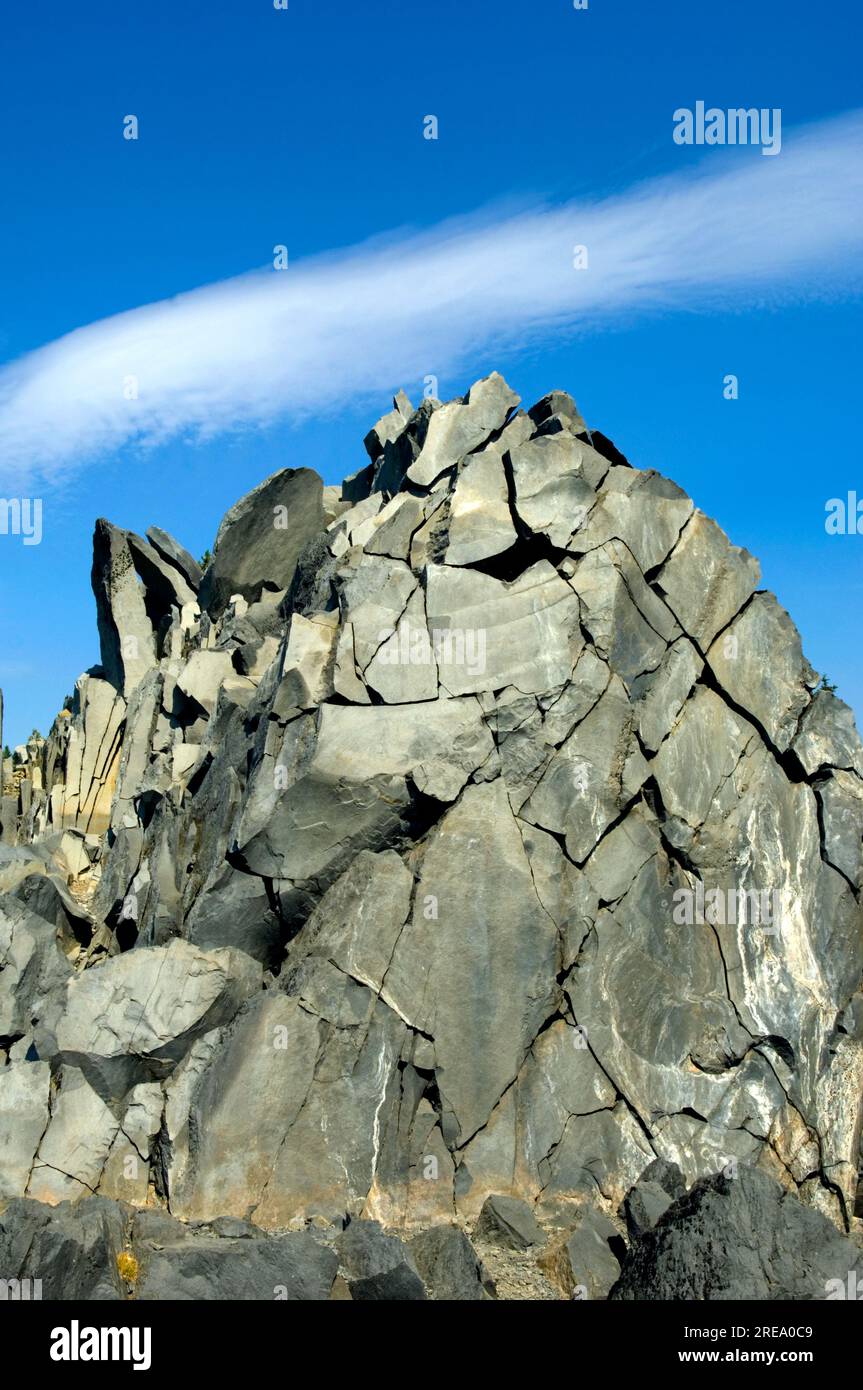 Pinhead hi-res stock photography and images - Alamy