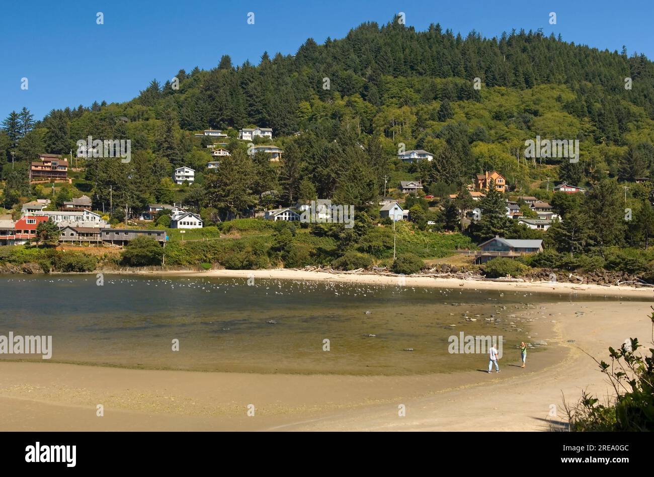 Oregon beach people clean hi-res stock photography and images - Alamy
