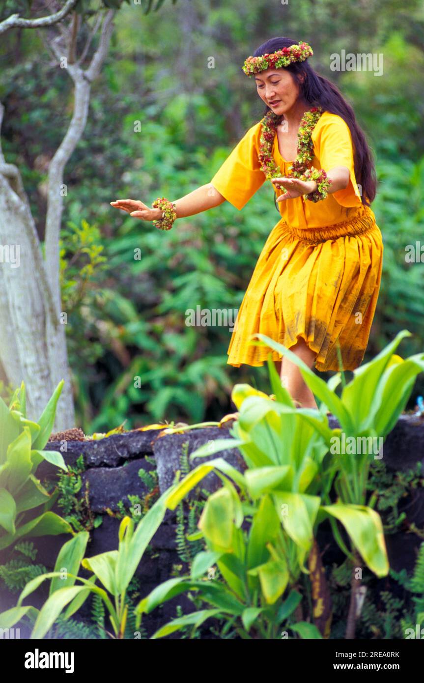 Hula dancing. Hawaiian ceremonies. Kilauea Volcano. Big Island. Hawaii ...