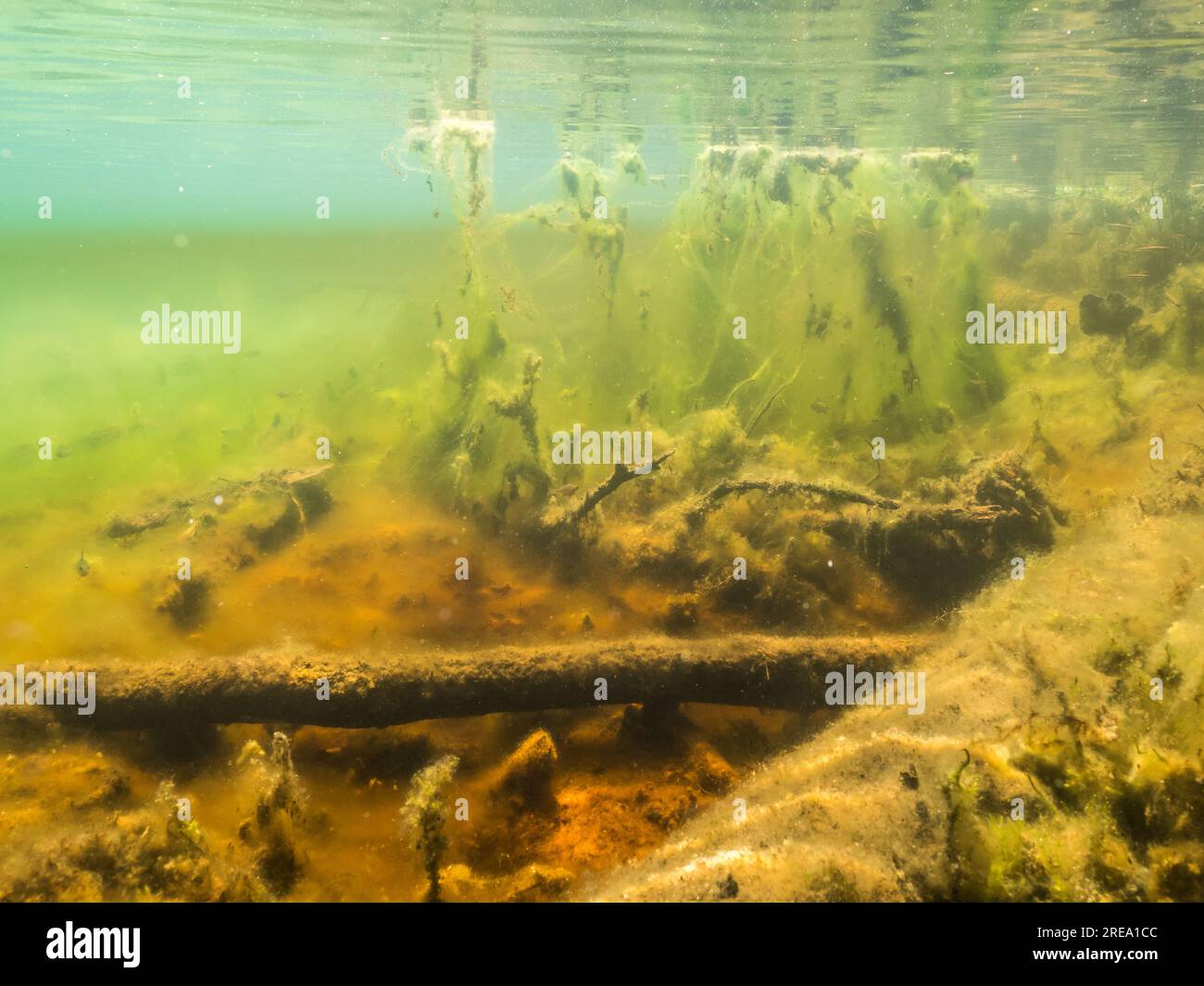 Lake botton with colourful iron and algae sediment Stock Photo - Alamy